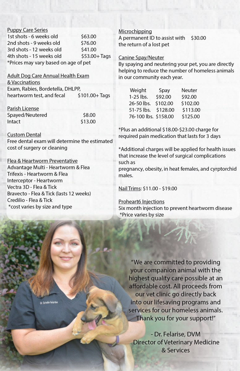 How Much Does A Dog Annual Exam Cost