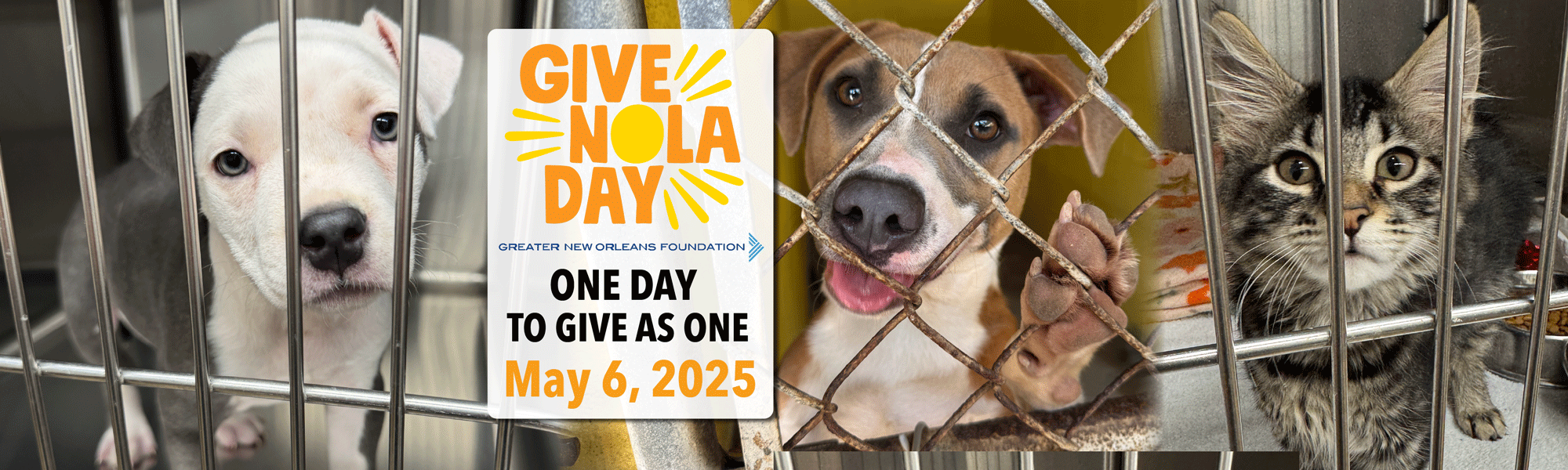 | Northshore Humane Society